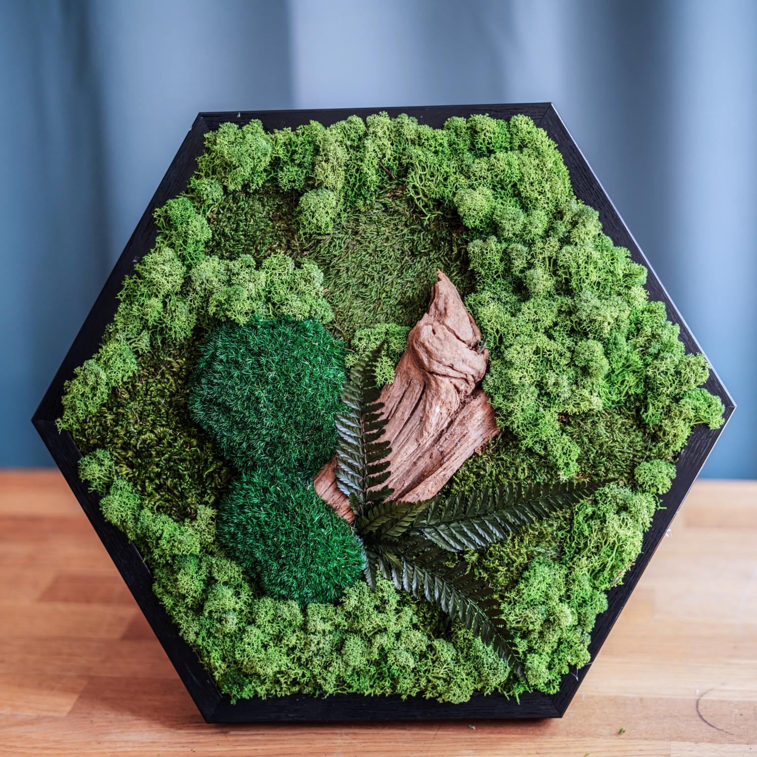 Zestaw DIY: stwórz obraz z mchu w heksagonie - Zielony Słoik